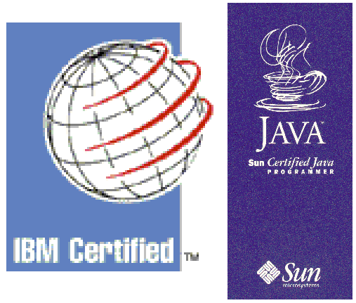 Boris's On-Line Resume - Grid / WebSphere / Java